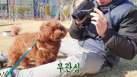 극한직업 야외에서 강아지 촬영ㅋㅋ Youtube