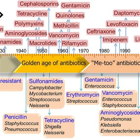 Timeline Depicting The Discovery Of Major Antibiotics And Subsequent