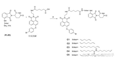 Protac技术 靶蛋白配体、连接子linker、e3 连接酶配体 知乎