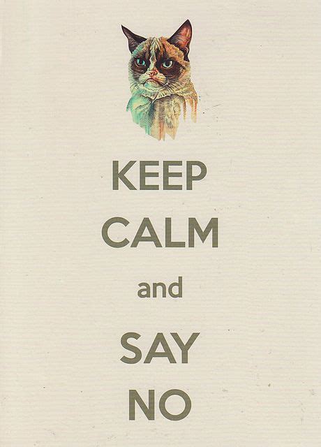 78 Grumpy Cat Ideas Grumpy Cat Grumpy Grumpy Cat Humor