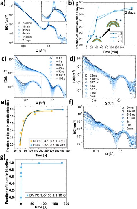 Kinetics Of Tx 100 Solubilization Of Dppc And Dmpc Vesicles A