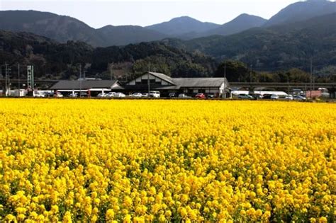 ふくよし風景十選⑦ 27年ぶりの再会記念 ひで某ぎゃらりい