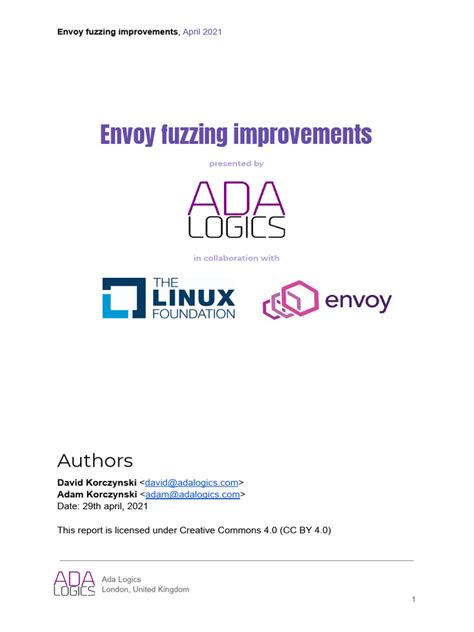 Audit Fuzzer Adalogics 2021 Pdf Callback Computer Programming