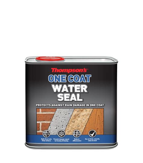 Thompsons One Coat Water Seal Next Day Paint