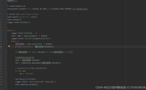 Python之网络编程（socket）python Socket Csdn博客