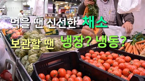 건강상식 채소 보관방법으로 냉장 또는 냉동 차이가 있나요 신선한 채소 먹기 Youtube