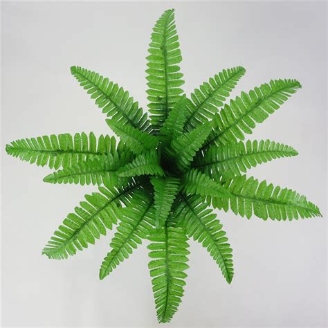 Spot 18 Heads 24 Heads Simulation Big Persian Grass Green Simulation