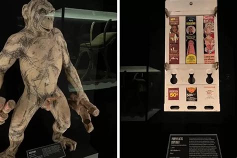Museum Seks Di Miami Dibuka Tahun Ini Ada Pameran Melumat Mr P
