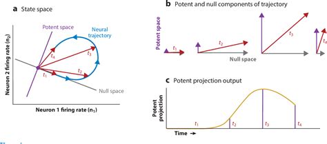 Figure 6 From Computation Through Neural Population Dynamics Semantic Scholar
