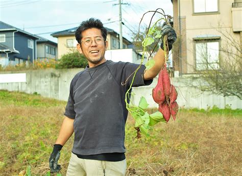 サツマイモの収穫を行いました！ クラカグループ（倉敷青果株式会社）