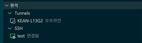 원격 개발 Guides for INSLab