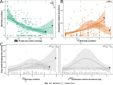 Kelp To Whales New Gemm Lab Publication Explores Indirect Effects Of A