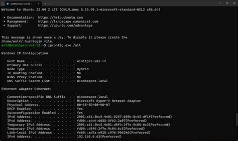 WSL Start Linux Apps In Windows And Windows Apps In Linux Access Ext And NTFS Sysops