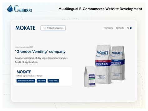 Modern And Beautiful Ecommerce Website On Woocommerce High Quality