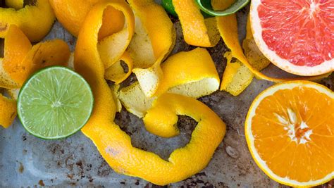 Los 5 Mejores Remedios Caseros Para Evitar Los Chinches