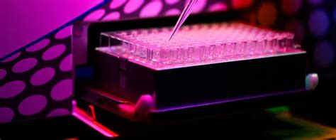 Seven Faculty Members Elected Aaas Fellows Research Innovation