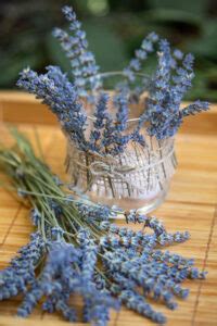 Duftige DIY Lavendel Teelichter Selber Machen DIY Blog Do It