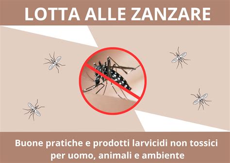 Consigli Per La Lotta Alle Zanzare Comune Di Monte San Pietro