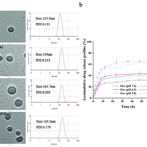 A Transmission Electron Microscope Image And Particle Size Download Scientific Diagram