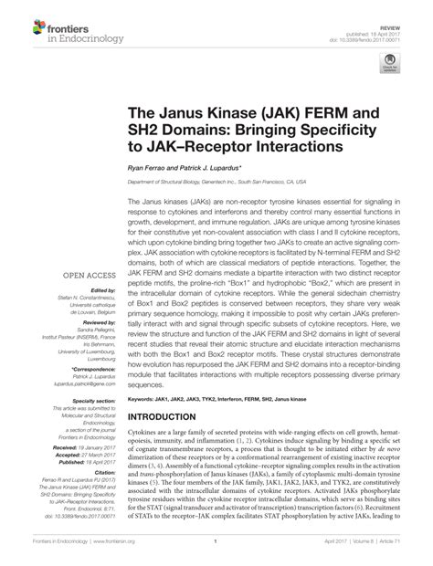 Pdf The Janus Kinase Jak Ferm And Sh2 Domains Bringing Specificity