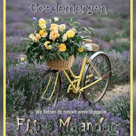 Pin By Nikol Nieuwlandt On Al Gestuurd In 2023 Good Morning Cards
