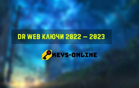 dr web ключи 2022 — 2023 – Keys-online.ru