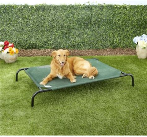 Best Raised Dog Bed 5 Orthopedic Elevated Dog Beds 2020 Herepup