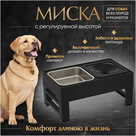 Миска для собак на подставке купить на OZON по низкой цене (1400244119)