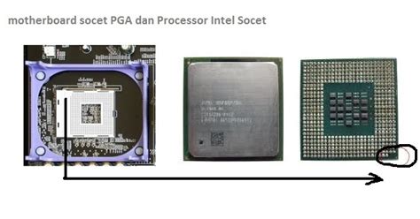 Perbedaan Socket Pga Dan Lga