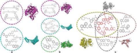 Different Classification Schemes A Single Label Binary Download