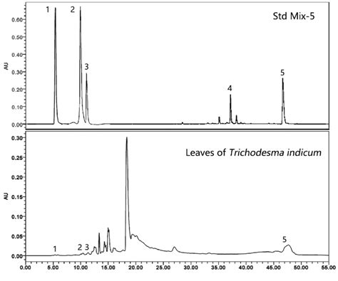 Hplc Uv Chromatograms Of T Indicum And Standard Mix Download