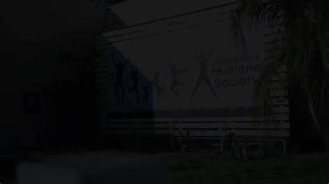 Video Jacksonville Humane Society On Linkedin This Time Of Year Jhs