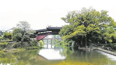 如何保护泰顺廊桥 听听爱桥人士怎么说 新闻中心 温州网