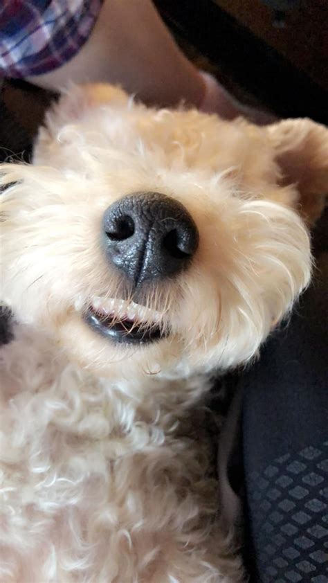 This Cutie Showing Off Rteefers