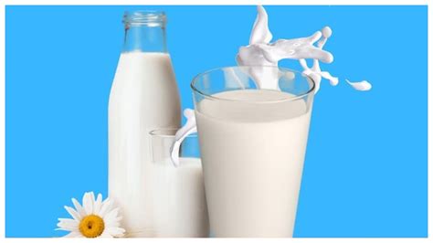 World Milk Day 2022 Know History Significance Theme And Important