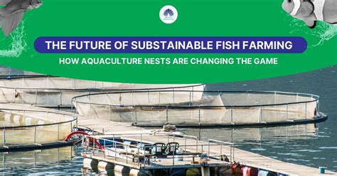 The Future Of Sustainable Fish Farming How Aquaculture Nets Are