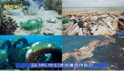 [인간이 만든 재앙]기업의 환경파괴로 인한 코로나19 대유행 Esg 중요성 부각된 이유였다 내외신문