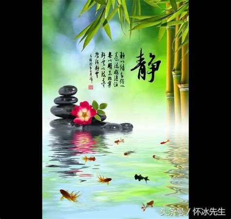 生活就像一個圈 爆廢公社 爆料公社