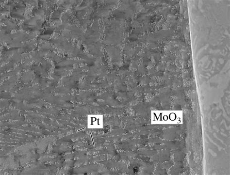 Microstructure Of An Oxide Scale Containing Platinum Particles