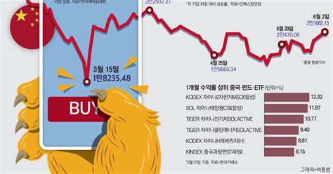 동학개미 서학개미 다 우는데이 개미들 홀로 살아남았다 Wealth