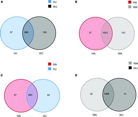 Venn Diagram The Venn Diagrams Show The Numbers Of Otus 97 Sequence