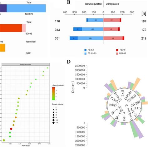 Effect Of Hrp On Camp Tnf α And Il 1β Levels In Rats With