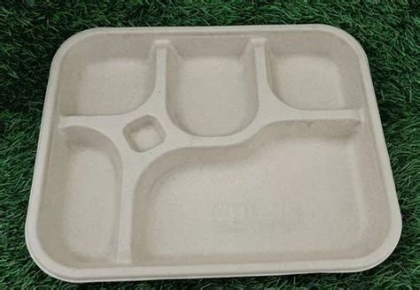 Biodegradable Sugarcane Bagasse Plate At 8 Piece In Virar ID 2849079765388
