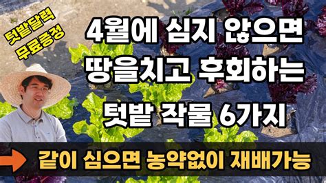 4월에 심는 작물 심는 채소 초보자도 이렇게 하면 성공합니다 Youtube