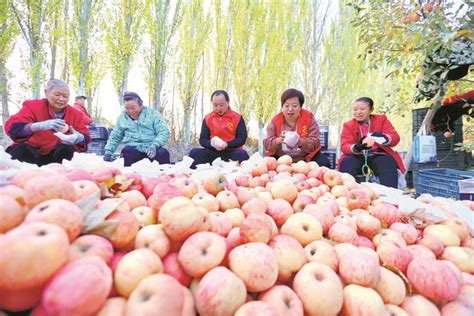 阿克苏日报