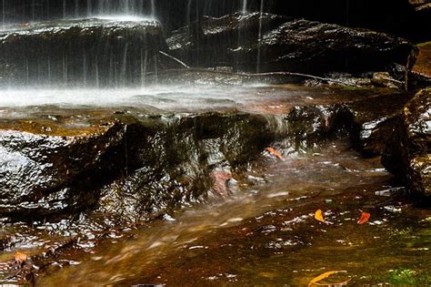 Berowra Waterfall P H O T O C Y C L E S