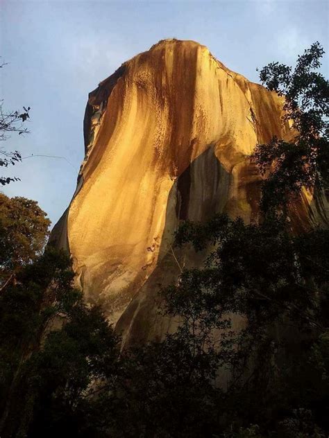 စစ်ကိုင်းတိုင်း ဗန်မောက်မြို့နယ်ရှိ ဇလုံတောင်တော်ကို တစ်တောင်လုံး ရ