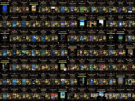 机械工业出版社 全套计算机科学丛书（黑皮书） 知乎