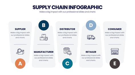 Target Market Infographic Presentation Template