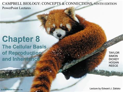 Monohybrid Inheritance Pptx